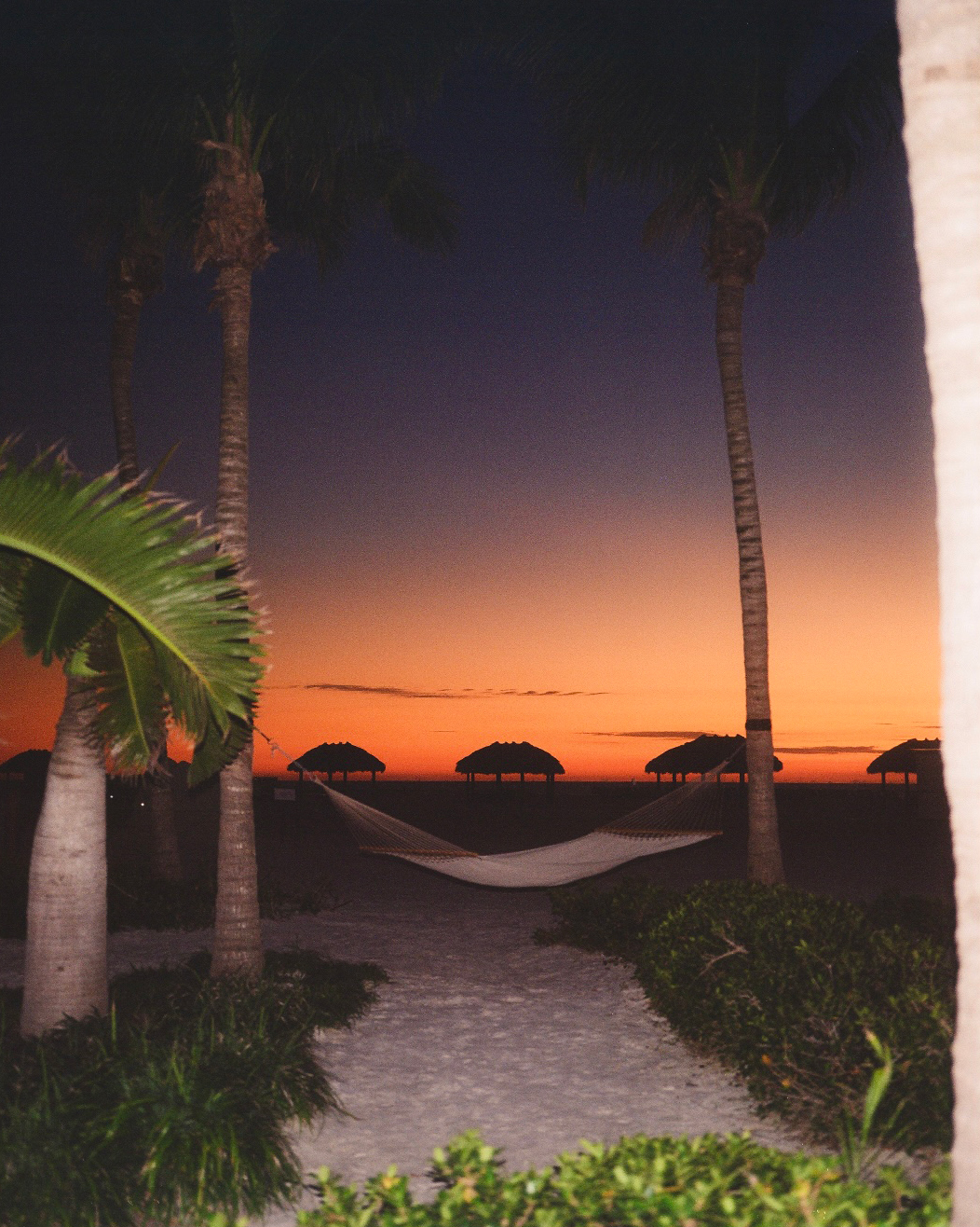 Myisha | Kodak Alaris